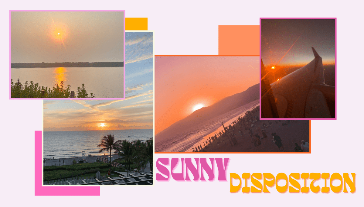 Sunny Disposition – ken's bars